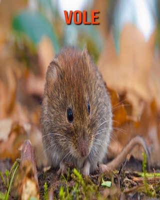 Vole: Learn About Vole and Enjoy Colorful Pictures (Paperback) | The ...