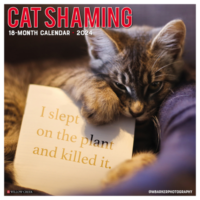 Cat Shaming