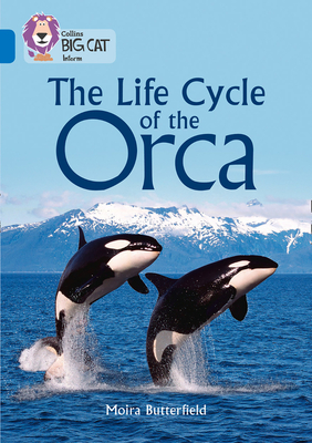 Collins Big Cat – The Life Cycle of the Orca: Band 16/Sapphire | A Room ...