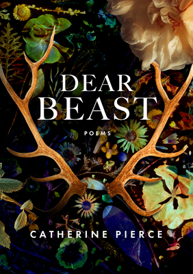 Dear Beast | Browseabout Books