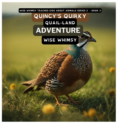 Quincy's Quirky Quail-land Adventure (Wise Whimsy Teaches Kids about ...