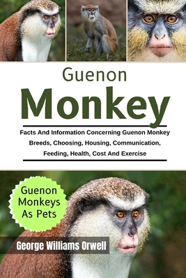 Guenon monkey: Facts And Information Concerning Guenon Monkey Breeds ...