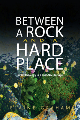 Between A Rock And A Hard Place Book
