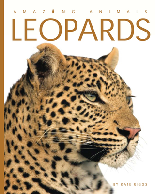 Amazing Animals: Leopards (Paperback) | Avid Bookshop