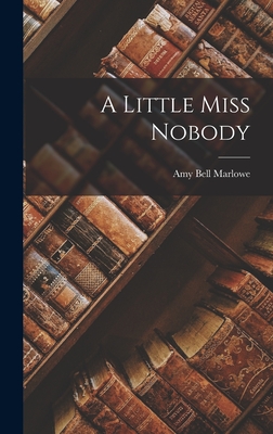 A Little Miss Nobody | Wakefield Books