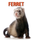 Ferret: Amazing Facts about Ferret (Paperback) | Print: A Bookstore